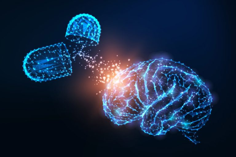 2024’s Top 5 Memory Supplements – Supplement Scale